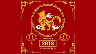 Viet Channels - Watch The Vietnamese TV Channels Live with DVR and VOD